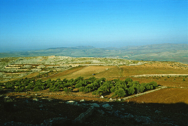 The destruction of the site of Joshua’s altar on Mount Ebal – Ritmeyer ...